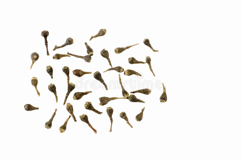 Cubeba Piper Seed Stock Photos - Free & Royalty-Free Stock Photos from ...