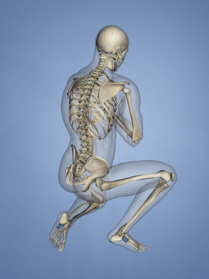 Cuboid Bone, 3D Model stock illustration. Illustration of medicine ...