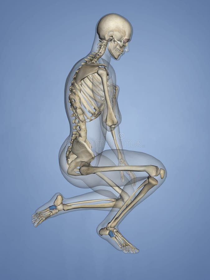Cuboid Bone, 3D Model stock illustration. Illustration of anatomy ...