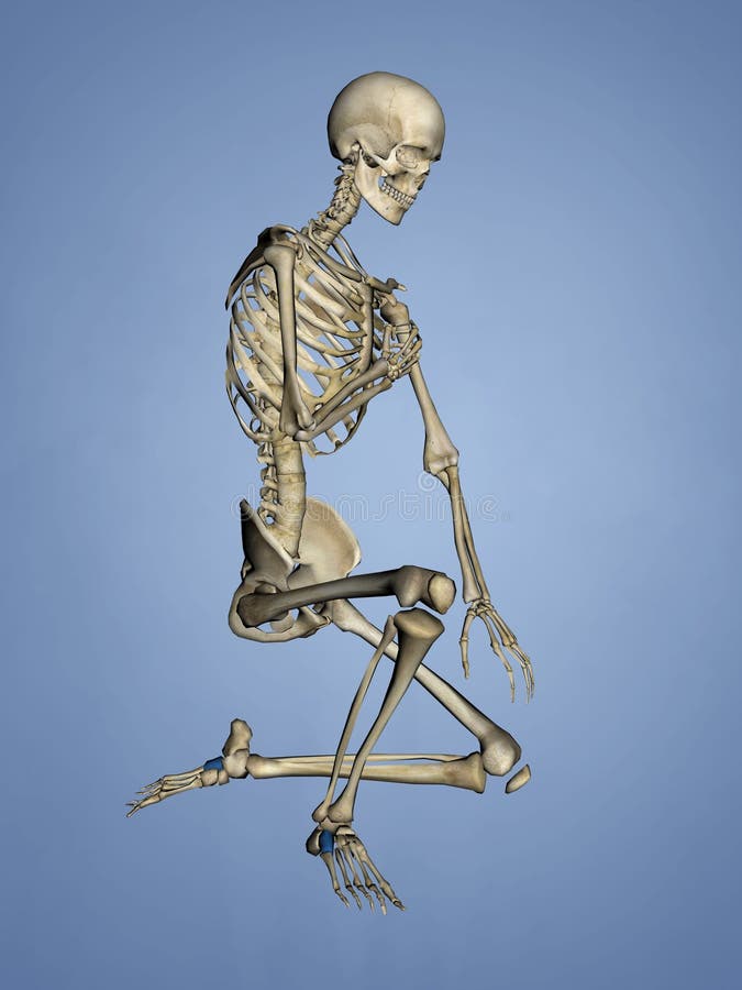 Cuboid Bone, 3D Model stock illustration. Illustration of human - 96048450