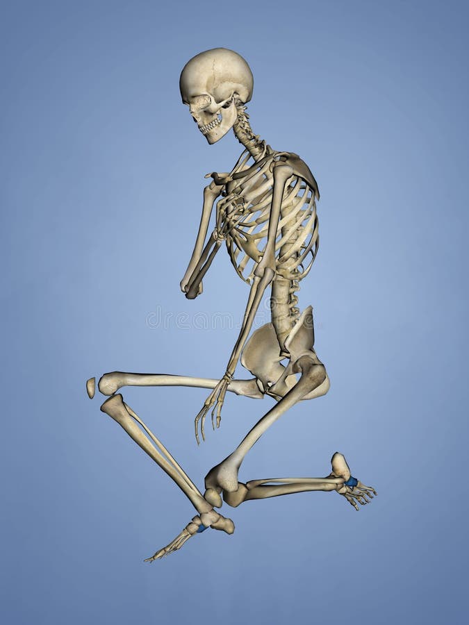 Cuboid Bone, 3D Model stock illustration. Illustration of human - 96048450