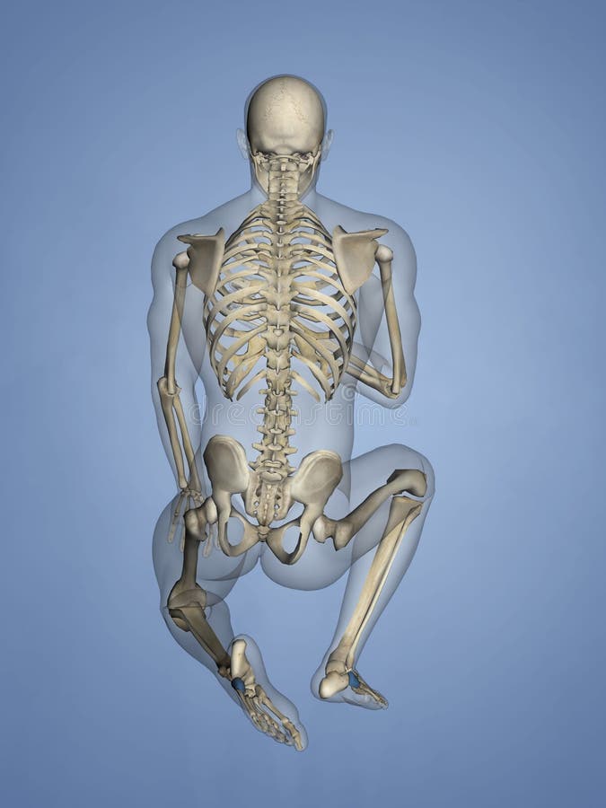 Cuboid Bone, 3D Model stock illustration. Illustration of science ...