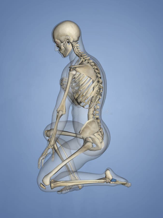 Cuboid Bone, 3D Model stock illustration. Illustration of human - 96048450