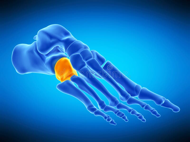 The cuboid stock illustration. Illustration of cuboid - 73212203