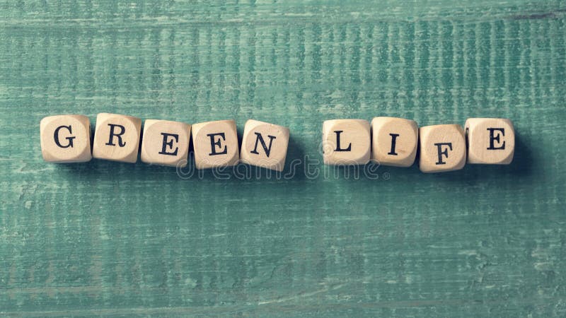 Cubos De Letras Con Vida Verde Palabra Imagen de archivo - Imagen de ...