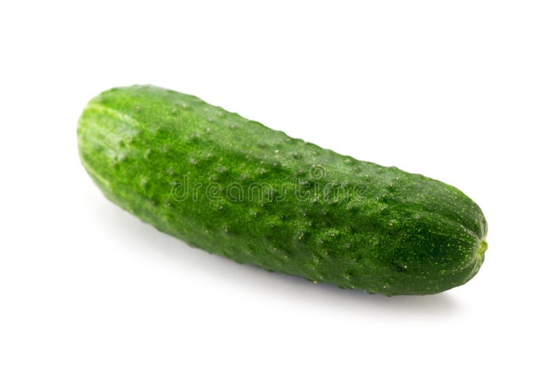 Cucumber stock image. Image of eating, isolated, green - 10905511