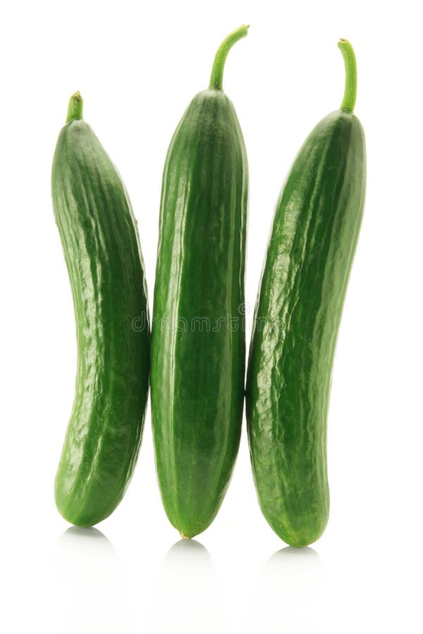Cucumber stock photo. Image of produce, ingredient, cucumber - 16795564