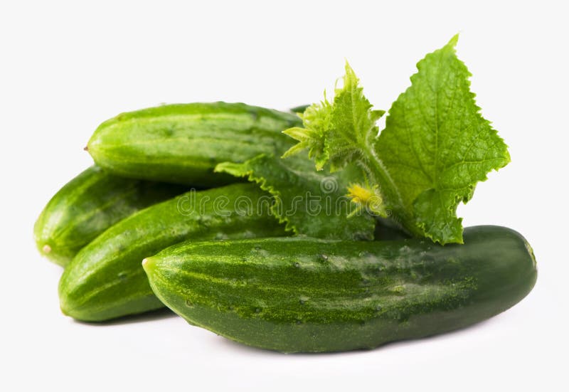 Cucumber Group and Leaves on White Stock Image - Image of plant ...