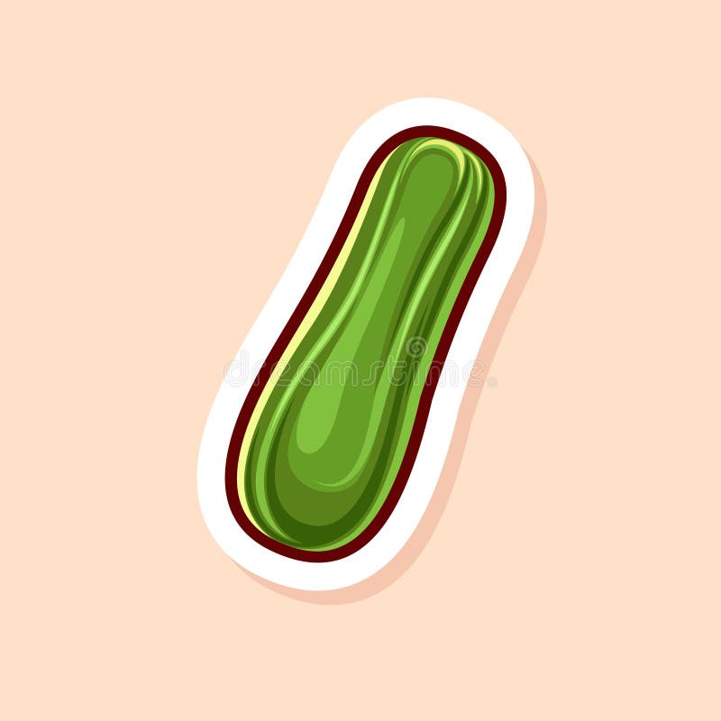 Single Green Cucumber Cute Cartoon Stock Vector - Illustration of juicy ...
