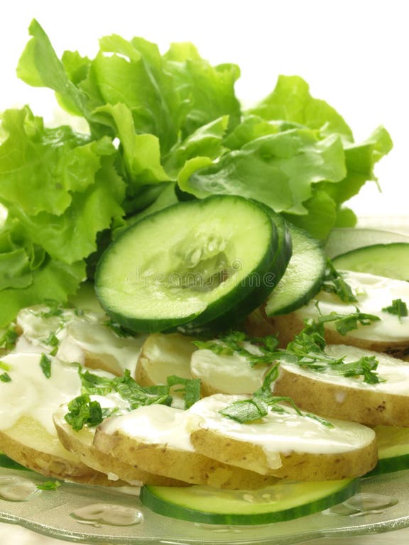 Cucumber appetizer stock photo. Image of crop, unpeeled - 25700730