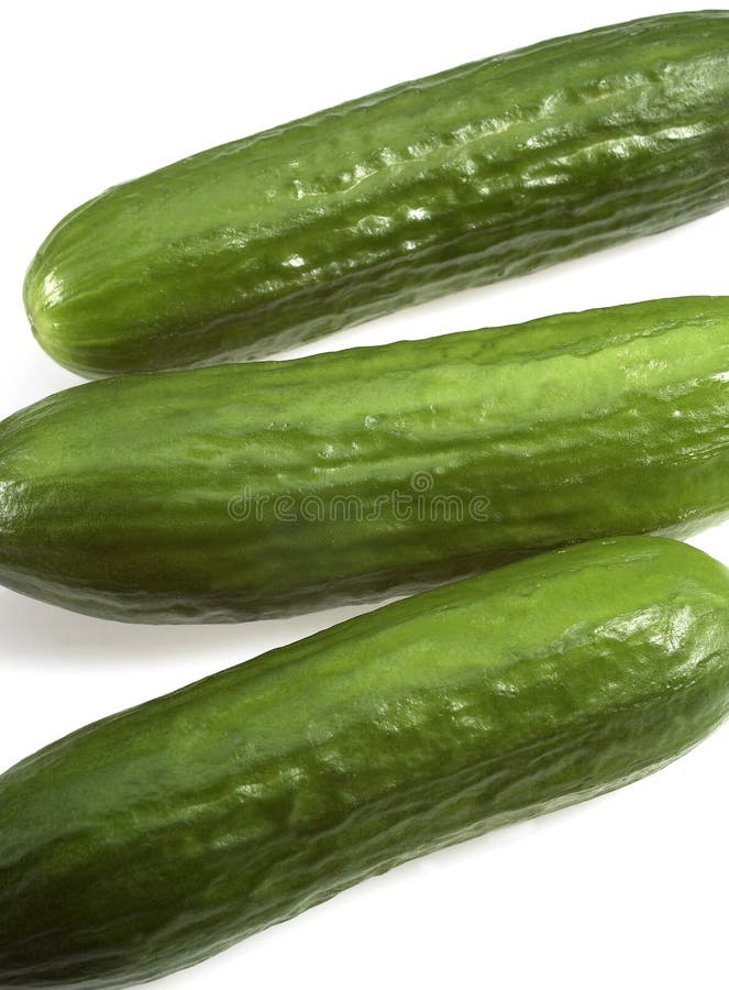 Concombre stock photo. Image of concombre, botany, vegetable - 170403320