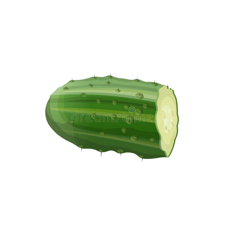 Half Cucumber Stock Illustrations – 2,057 Half Cucumber Stock ...