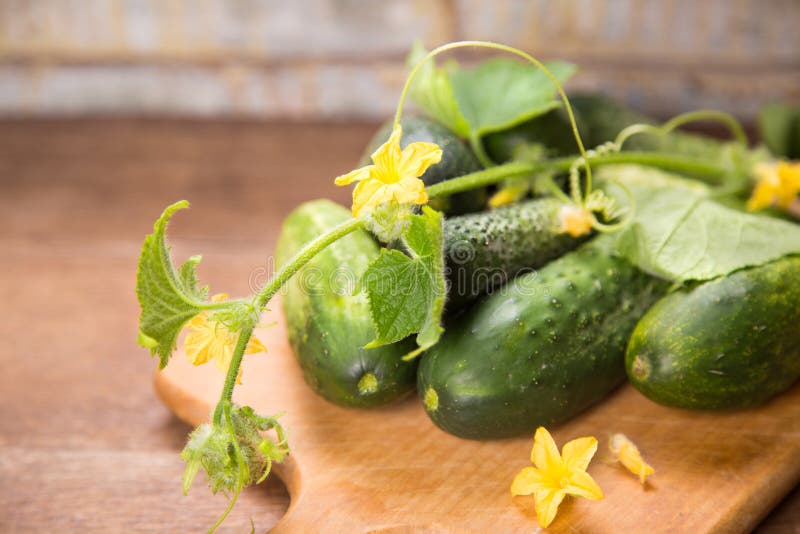Cucumber with flowers stock image. Image of group, closeup - 57895881