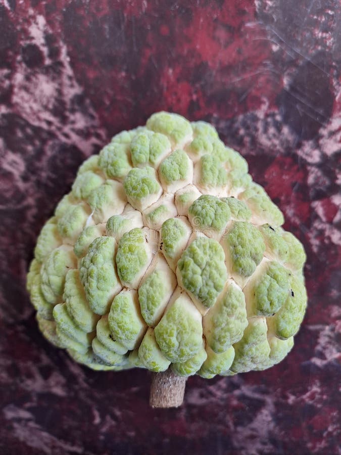 Cucumber, Fruit Tastes Very Delicious. Stock Photo - Image of cucumber ...