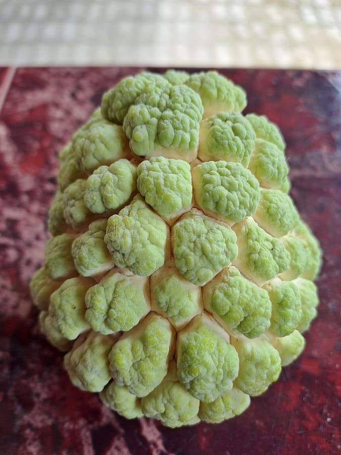 Cucumber, Fruit Tastes Very Delicious. Stock Photo - Image of delicious ...