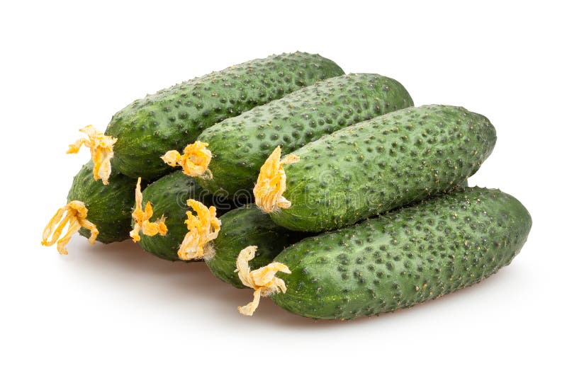 Cucumber Group and Leaves on White Stock Image - Image of plant ...