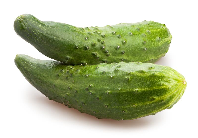 Spiky Cucumber stock image. Image of gourds, ornamental - 23418615