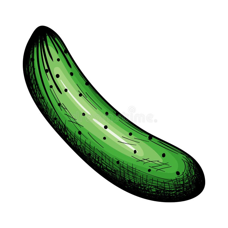 Cucumber Icon Black. Single Plant Icon from the Big Farm, Garden ...