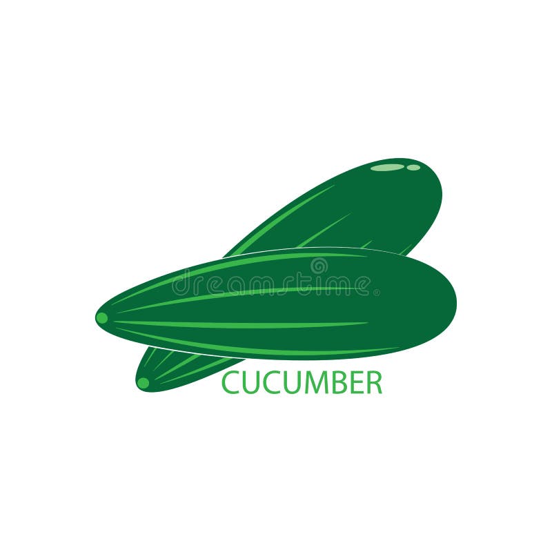 Cucumber icon logo vector stock vector. Illustration of vegetarian ...