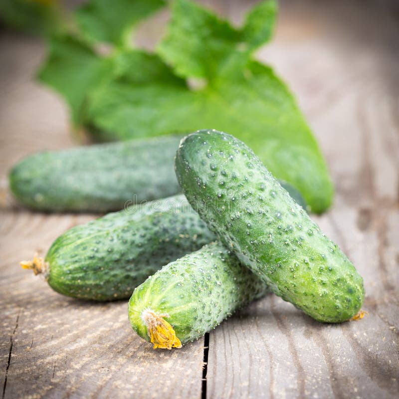 Cucumber stock image. Image of peel, gourmet, color, close - 17920549