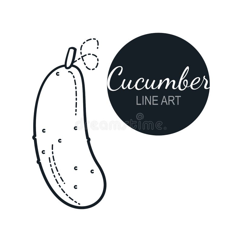 Cucumber Linear Graphic Design. Black and White Image of Vegetables ...