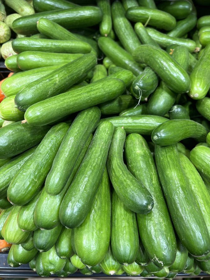 Cucumber organic stock photo. Image of vegitable, finger - 257854302