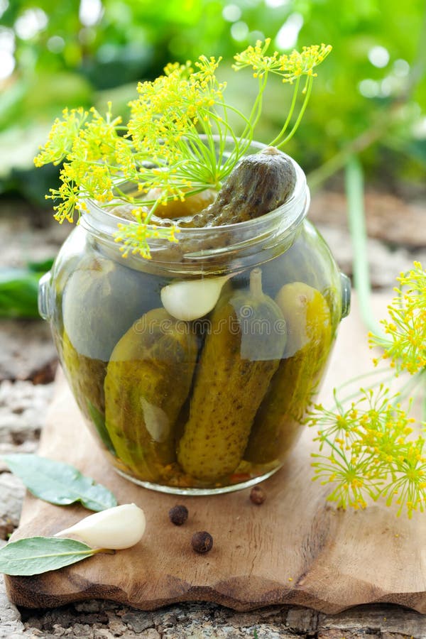 Fresh salted cucumber stock image. Image of appetizer - 15198497