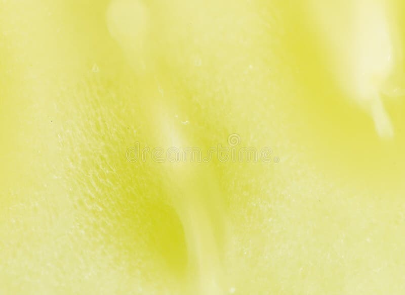 Cucumber pulp. Super Macro stock image. Image of closeup - 105535837