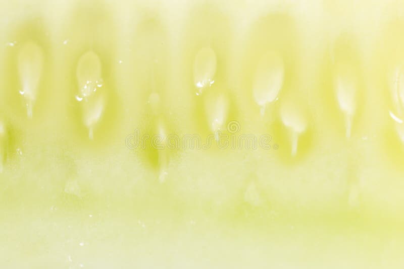 Cucumber pulp. Super Macro stock photo. Image of closeup - 105535842
