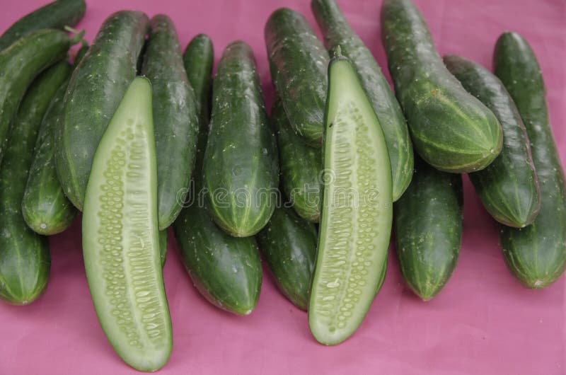 Cucumber on sale stock photo. Image of cucumbers, vegetable - 50405558