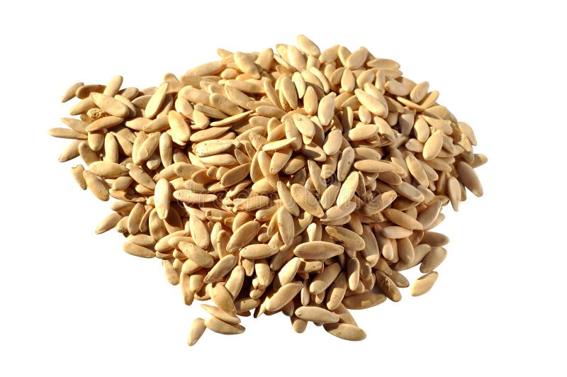 Carrot vegetable seeds stock image. Image of white, isolated - 111708571