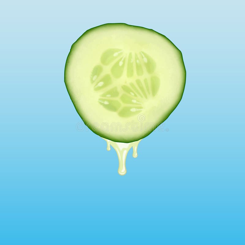 Cucumber slice stock vector. Illustration of organic - 54832175