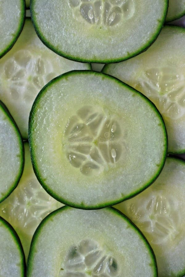 Cucumber Slices stock photo. Image of texture, green - 95609772