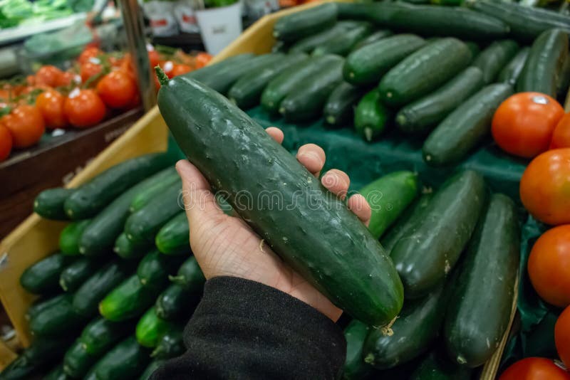 Cucumber at the store stock image. Image of grown, farmer - 158167061