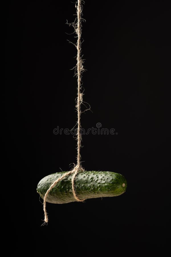 Cucumber on a string stock photo. Image of delicious - 252734374