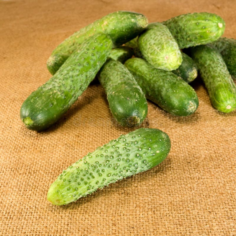 Cucumber on the Table Closeup Stock Image - Image of cucumber, diet ...