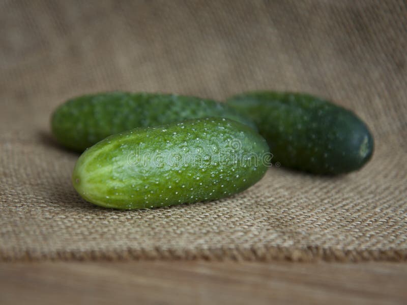 Cucumber stock image. Image of table, studio, green, healthy - 72333713