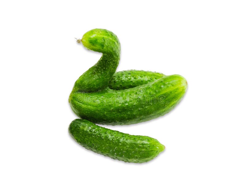 321 Cucumber Shapes Stock Photos - Free & Royalty-Free Stock Photos ...