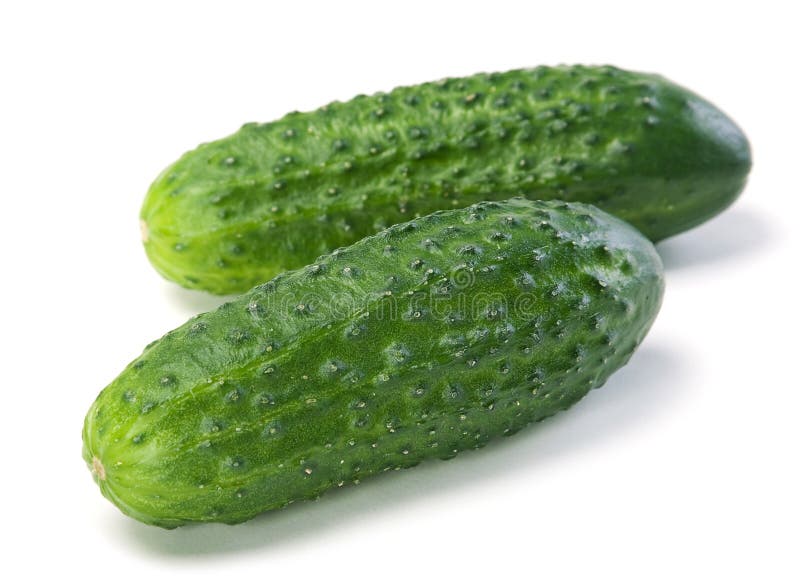 Cucumber vegetable stock photo. Image of vegetable, horizontal - 14425332