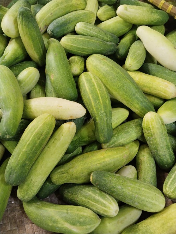 Cucumber Vegetable Food, Healthy for the Body Stock Image - Image of ...