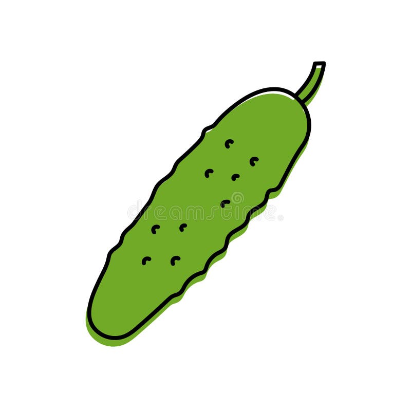 Cucumber. Vegetable Sketch. Color Simple Icon Stock Vector ...