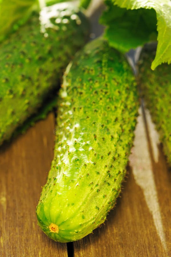 Cucumber on wooden table stock photo. Image of agriculture - 26947694