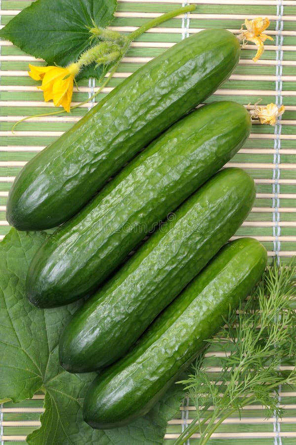 Cucumbers stock image. Image of smooth, fruit, basket - 11343187