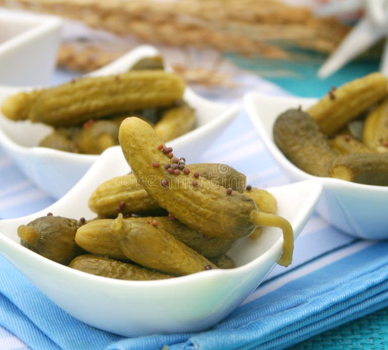 Cucumbers stock photo. Image of spices, food, buffet - 11489524