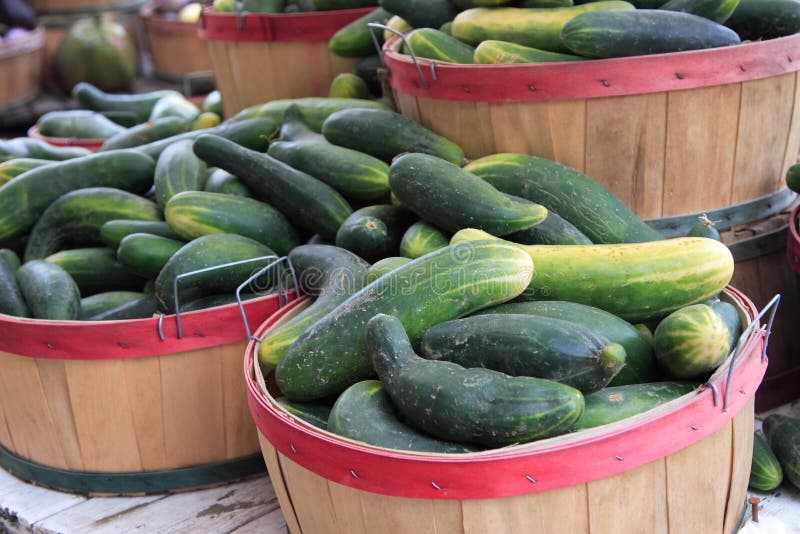 Bumpy Cucumbers Stock Photos - Free & Royalty-Free Stock Photos from ...