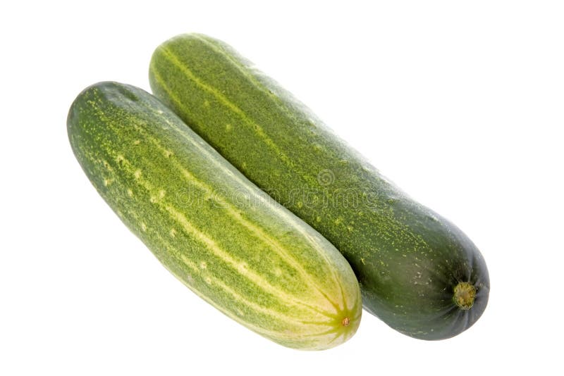 Cucumbers stock photo. Image of natural, nutritious, cucumber - 5737340