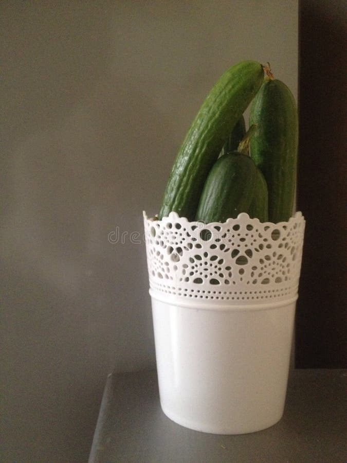 Cucumbers Box Lace Like Decoration Stock Photos - Free & Royalty-Free ...