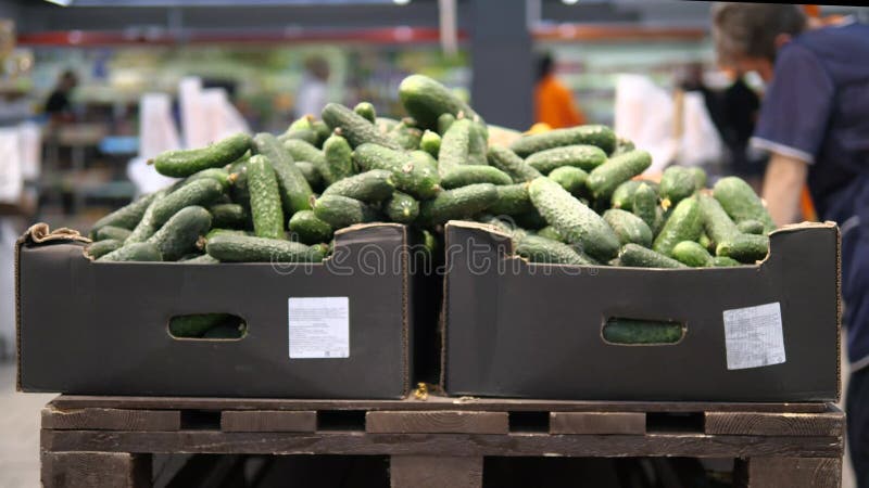 Cucumbers in Boxes on Display in the Vegetable Section of a Grocery ...