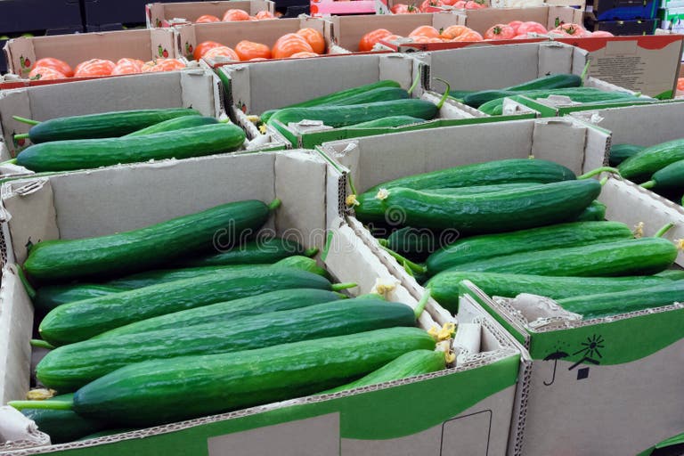 Cucumbers in the boxes stock image. Image of juicy, package - 49103669