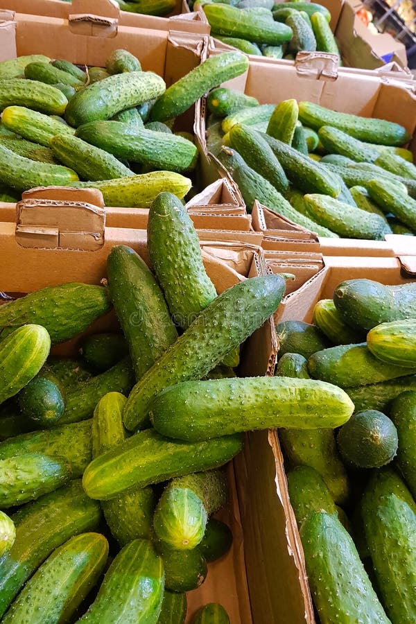 Cucumbers in Cardboard Boxes on the Market Stock Photo - Image of shop ...